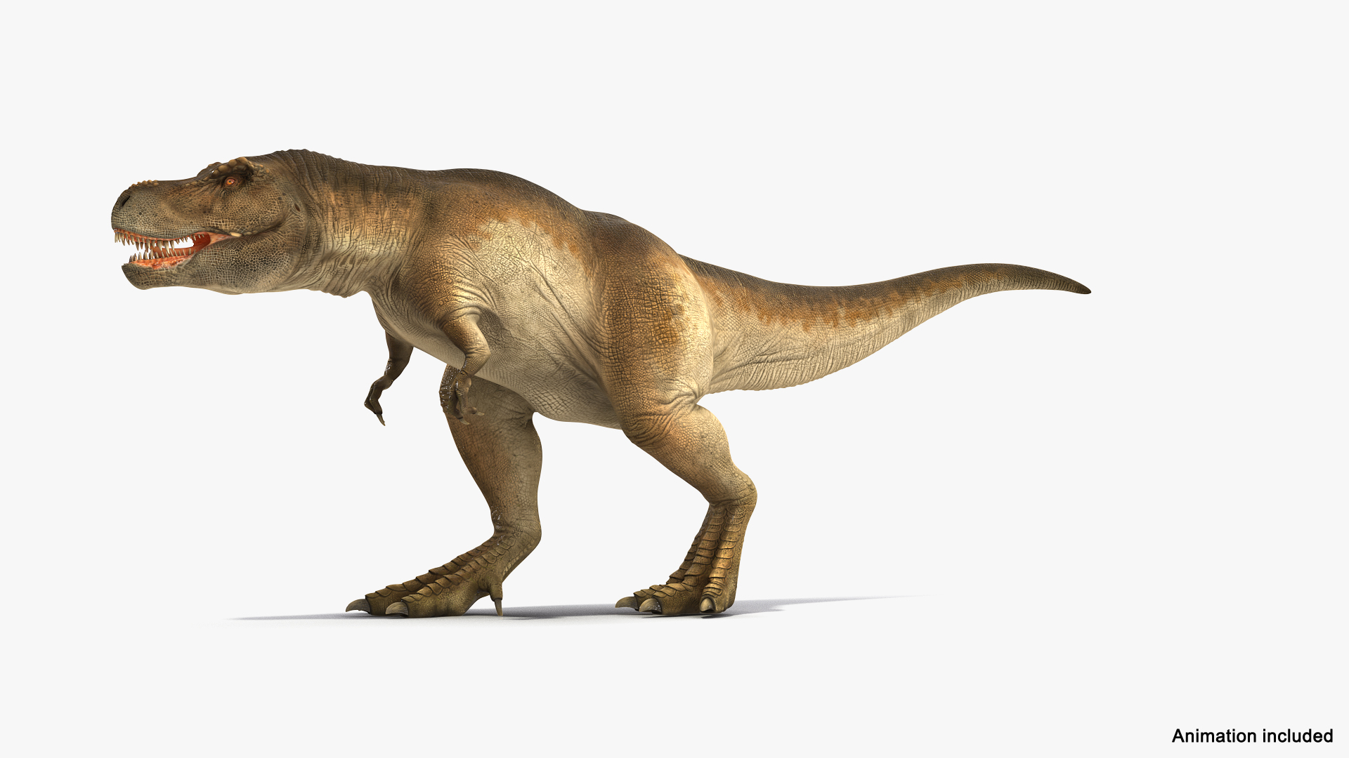 3D Tyrannosaurus Rex Walking Animal - TurboSquid 1478308