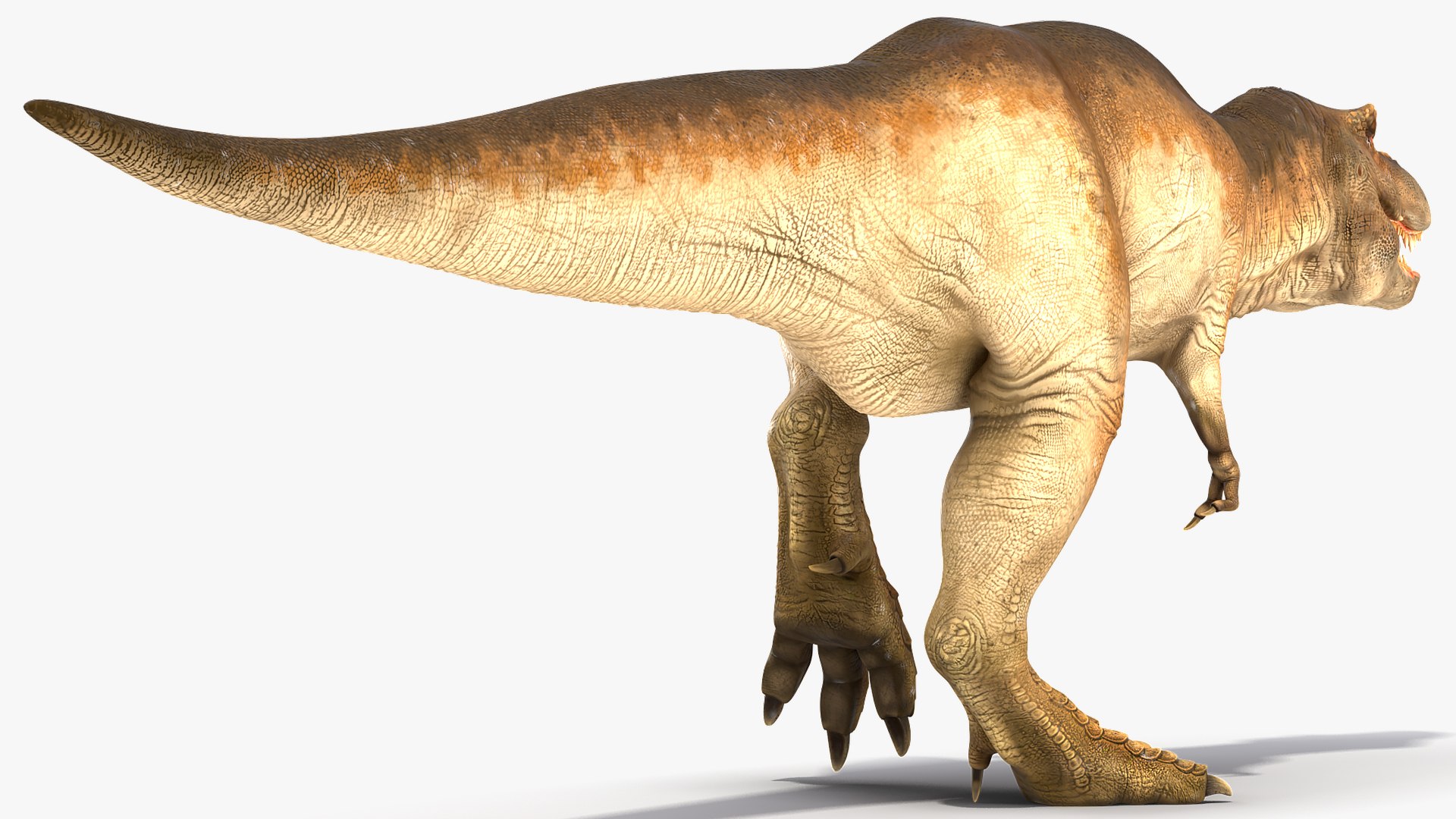 3D Tyrannosaurus Rex Walking Animal - TurboSquid 1478308