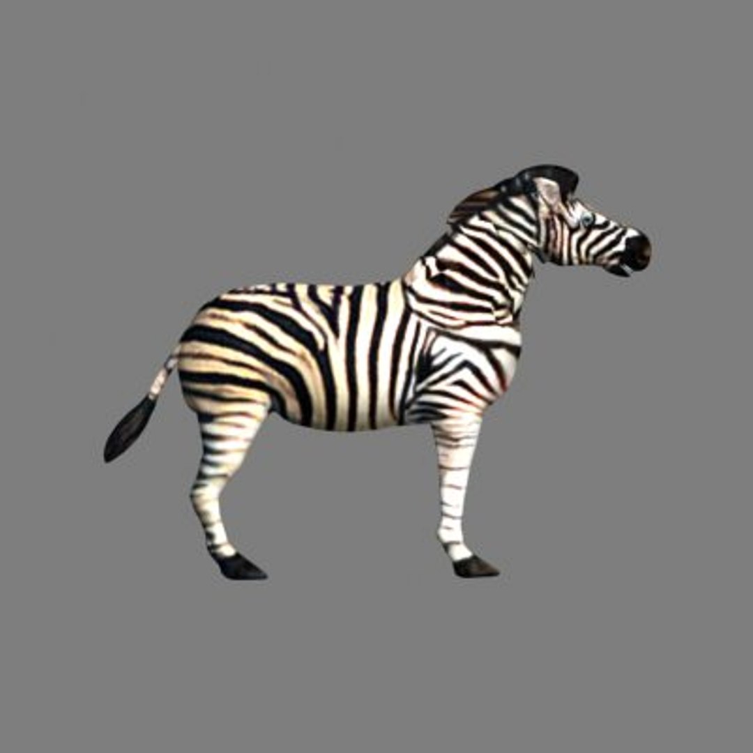 3d Model Talking Zebra