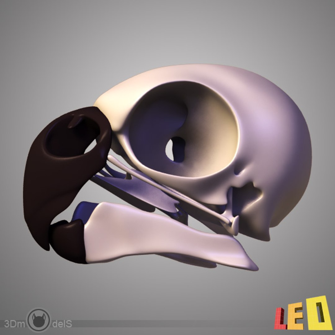 3d Parrot Skull Model