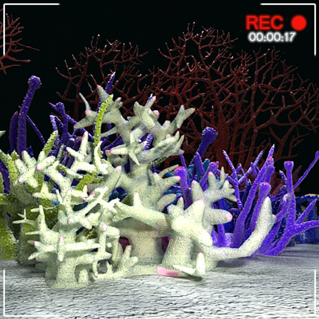 Set Corals Sea 3d Model