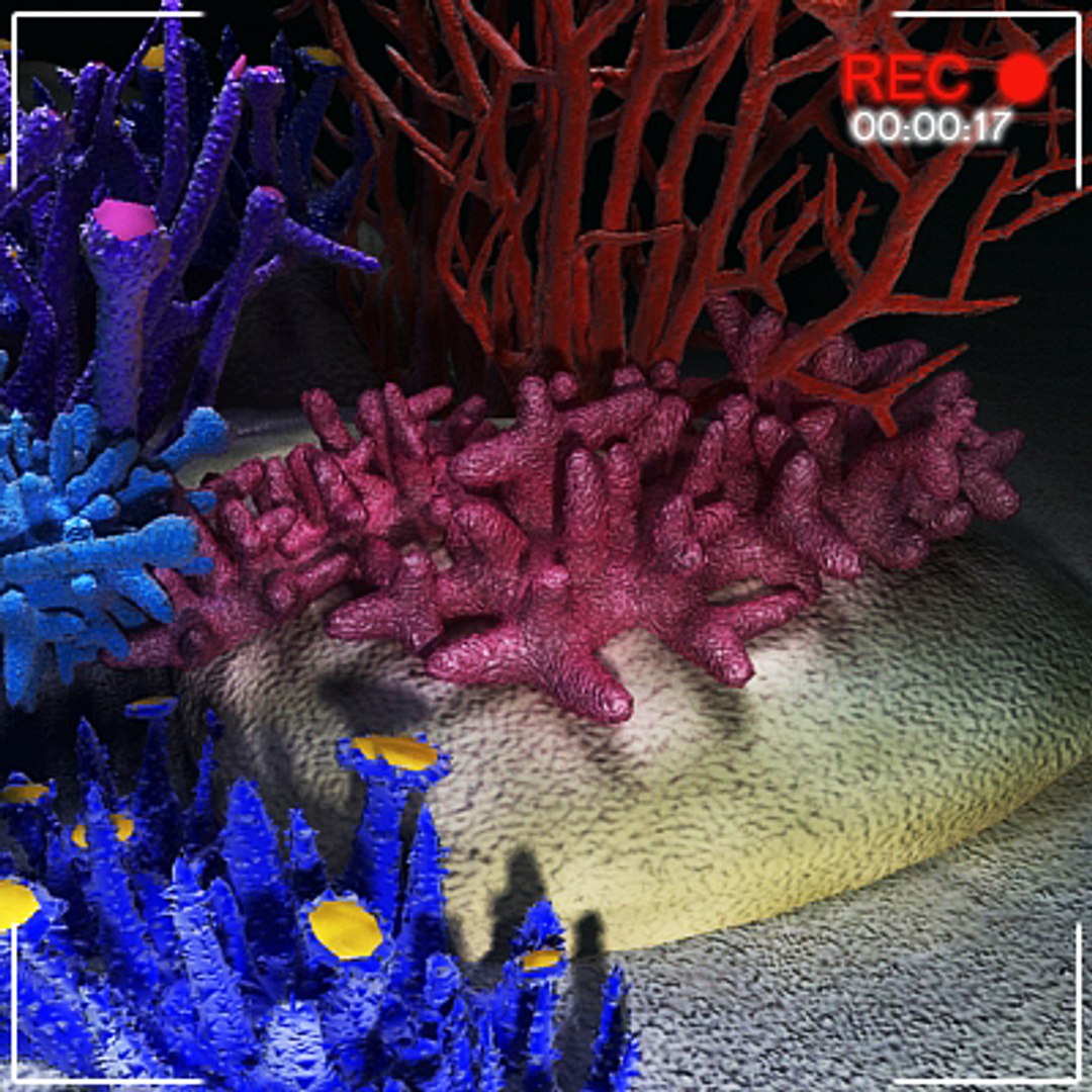 Set Corals Sea 3d Model
