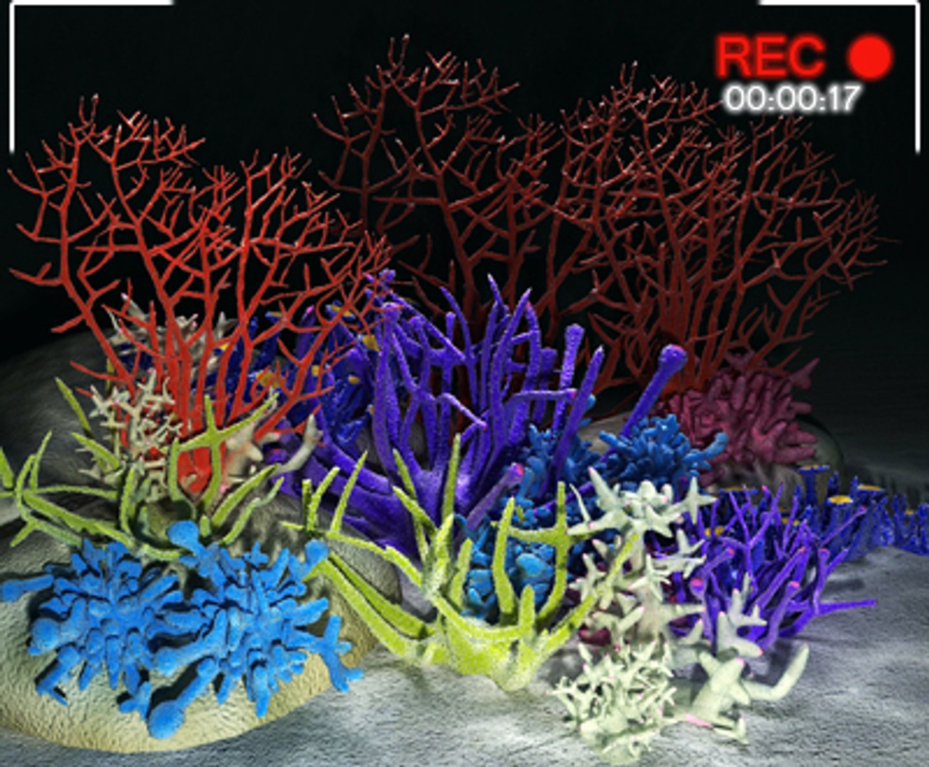 Set Corals Sea 3d Model