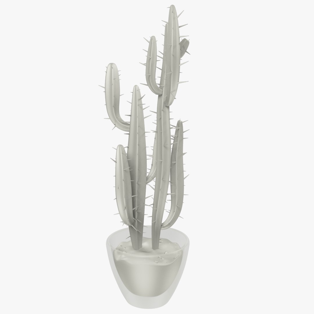 Cactus Transparent Pot 3D Model - TurboSquid 1413123