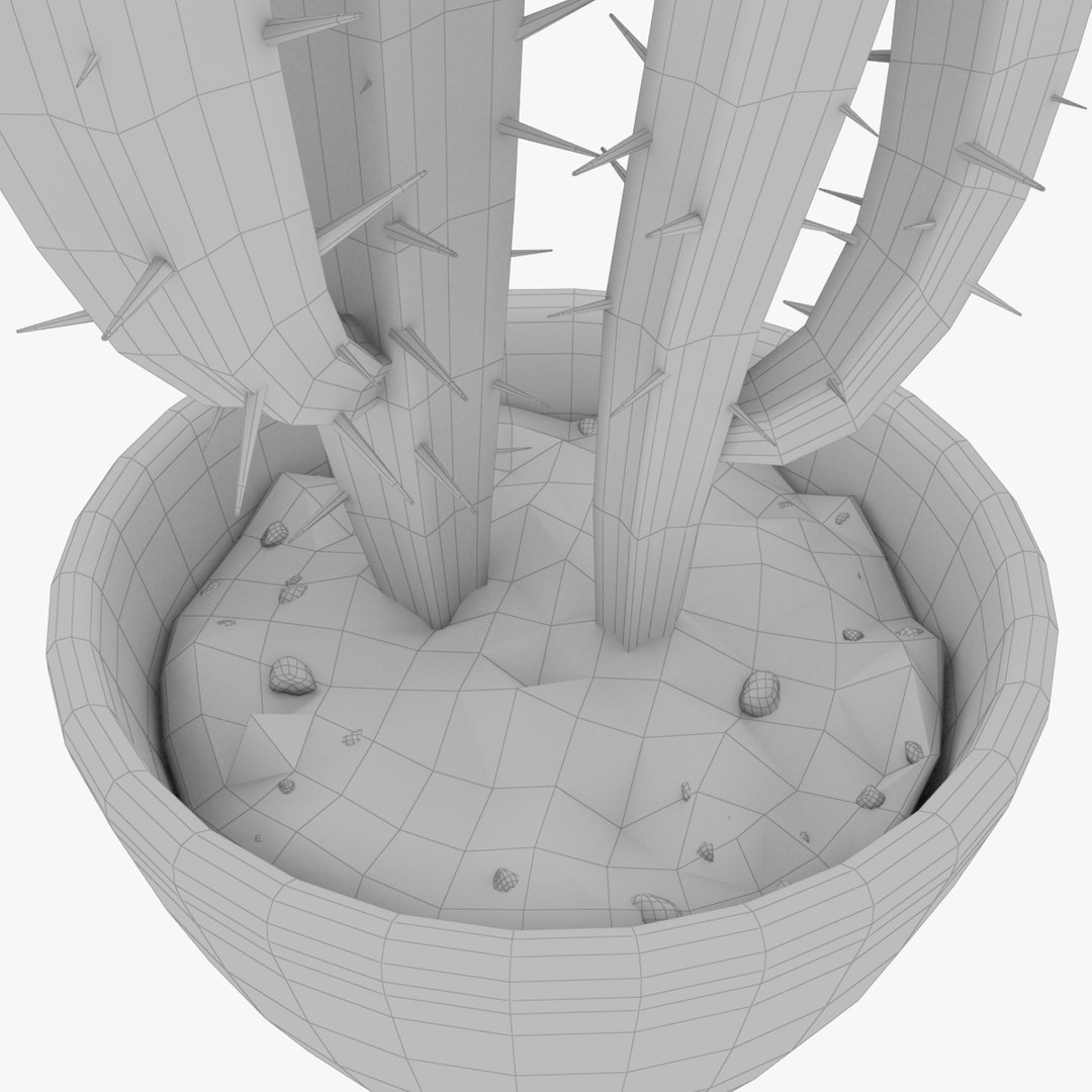 Cactus Transparent Pot 3D Model - TurboSquid 1413123