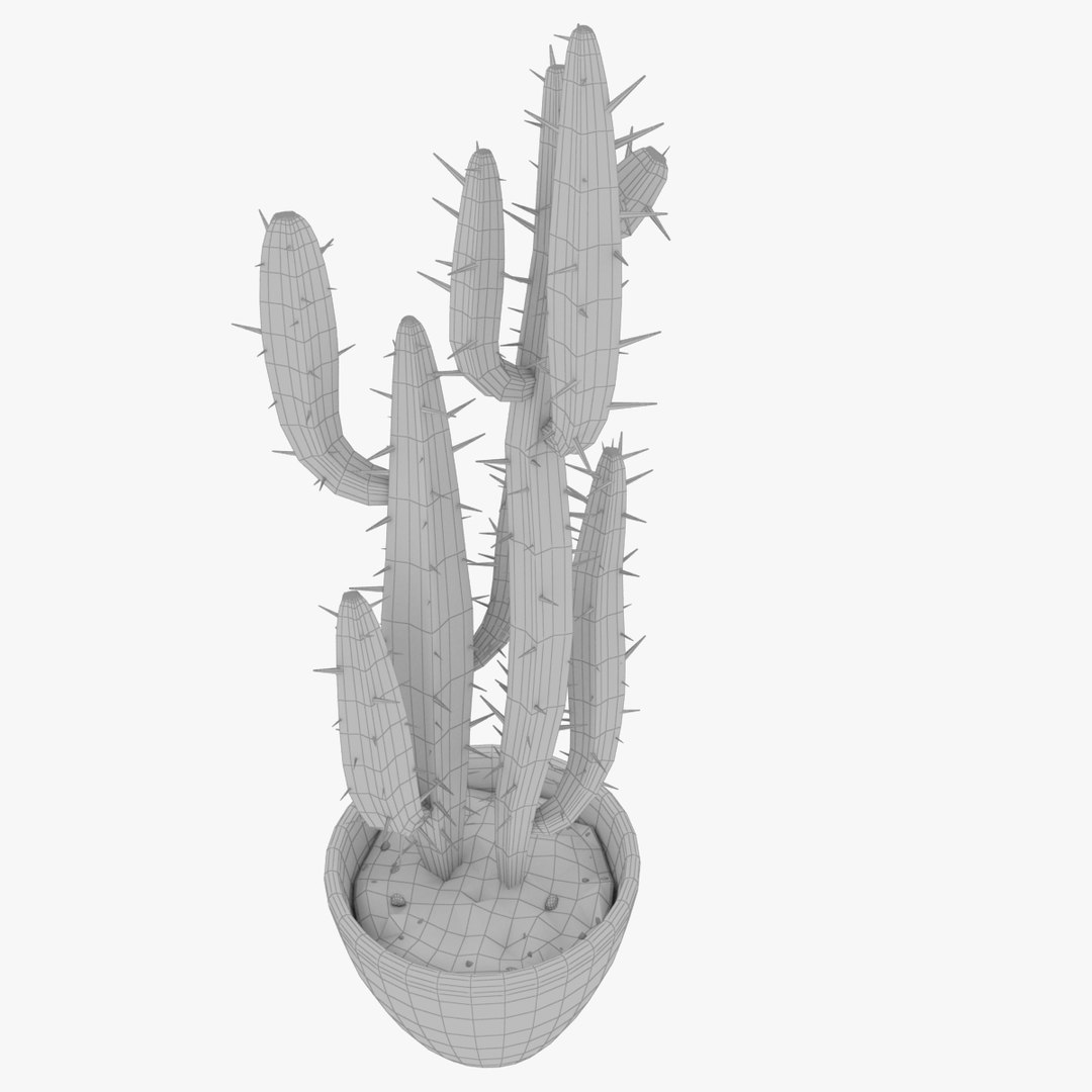 Cactus Transparent Pot 3D Model - TurboSquid 1413123