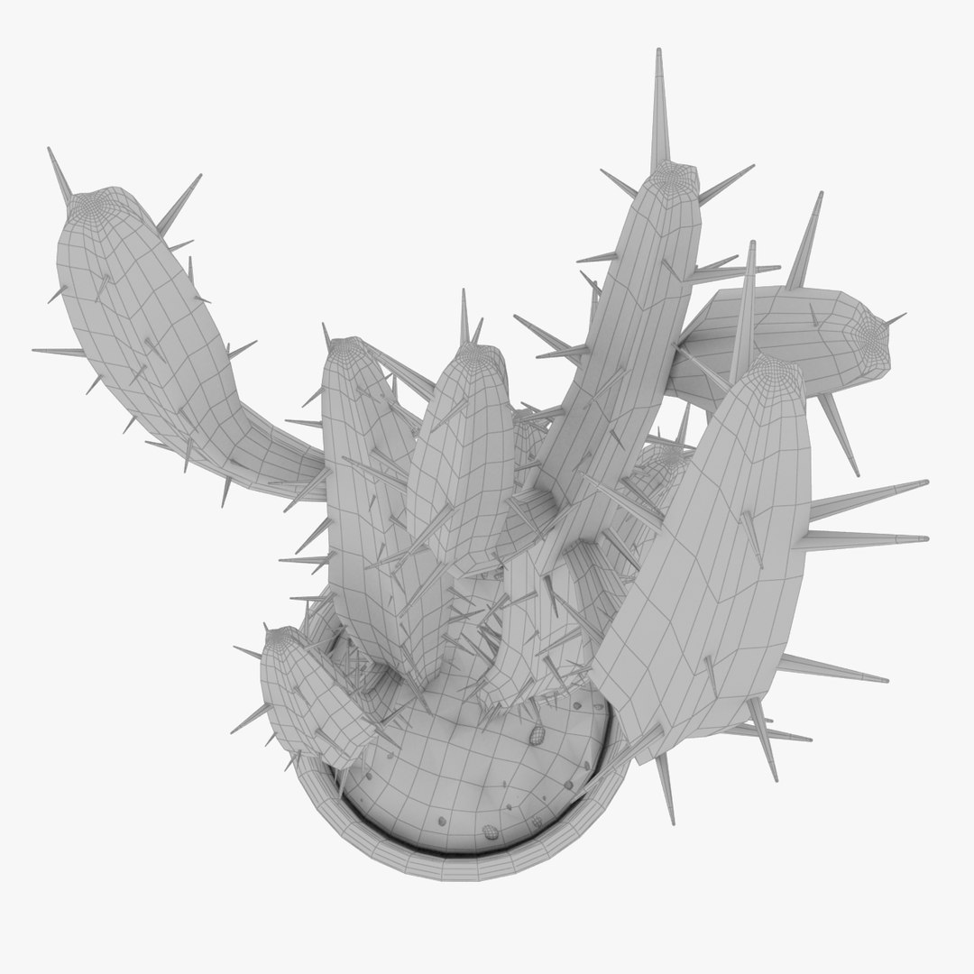 Cactus Transparent Pot 3D Model - TurboSquid 1413123