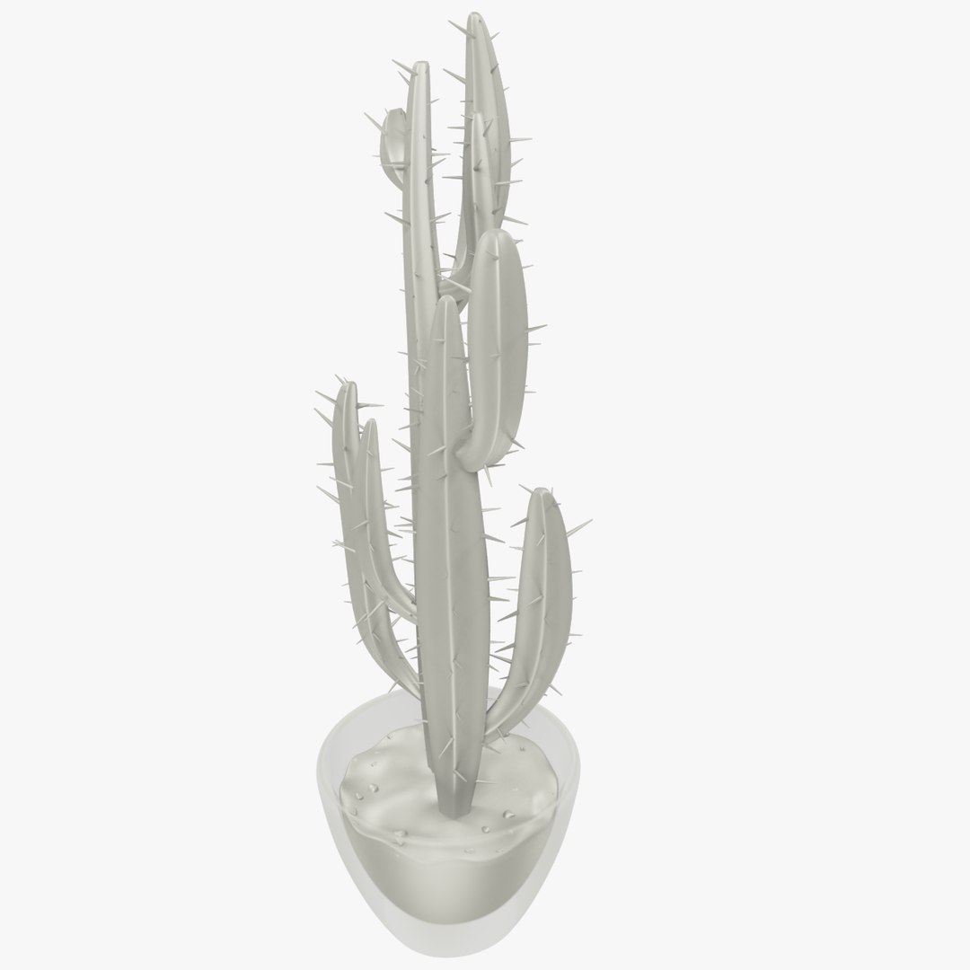 Cactus Transparent Pot 3D Model - TurboSquid 1413123
