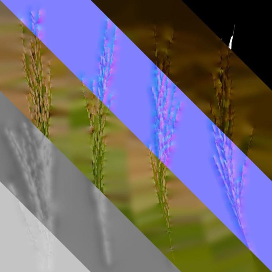 Anydrafts Oryza Sativa Fruit 01 Textures 3D Model - TurboSquid 2349873