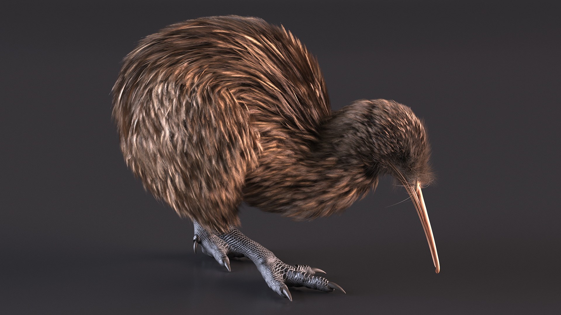 3D Cute Kiwi Bird Fur - TurboSquid 2104151