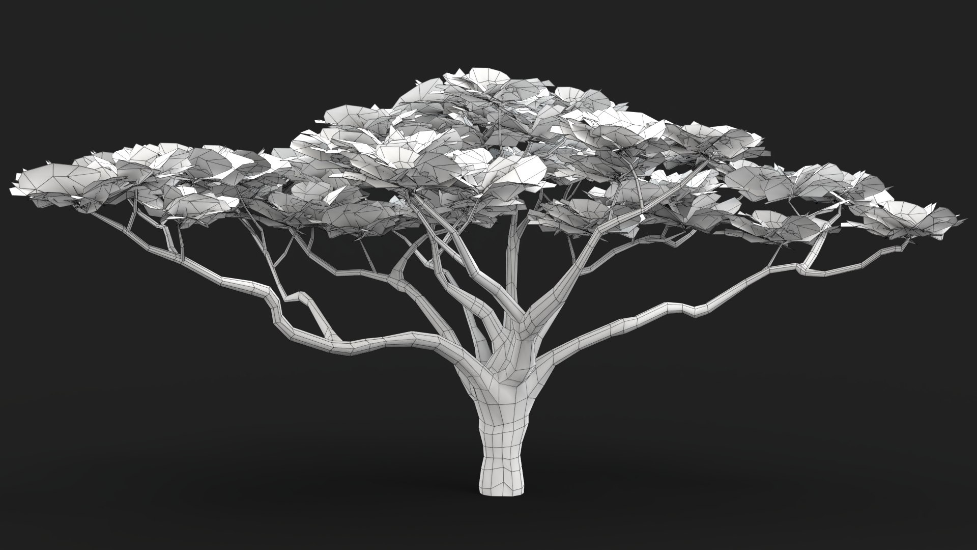 Acacia Tree Polys 3D - TurboSquid 1510499