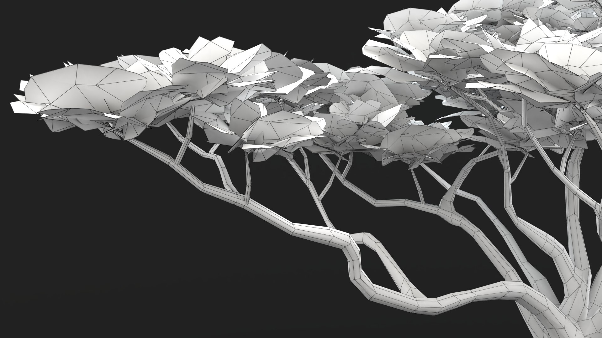 Acacia Tree Polys 3D - TurboSquid 1510499