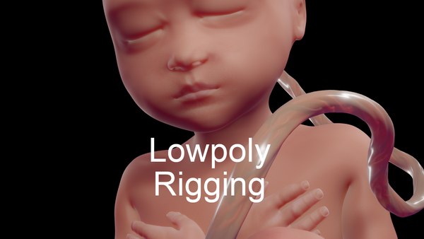 intravenous iv bag 3d model