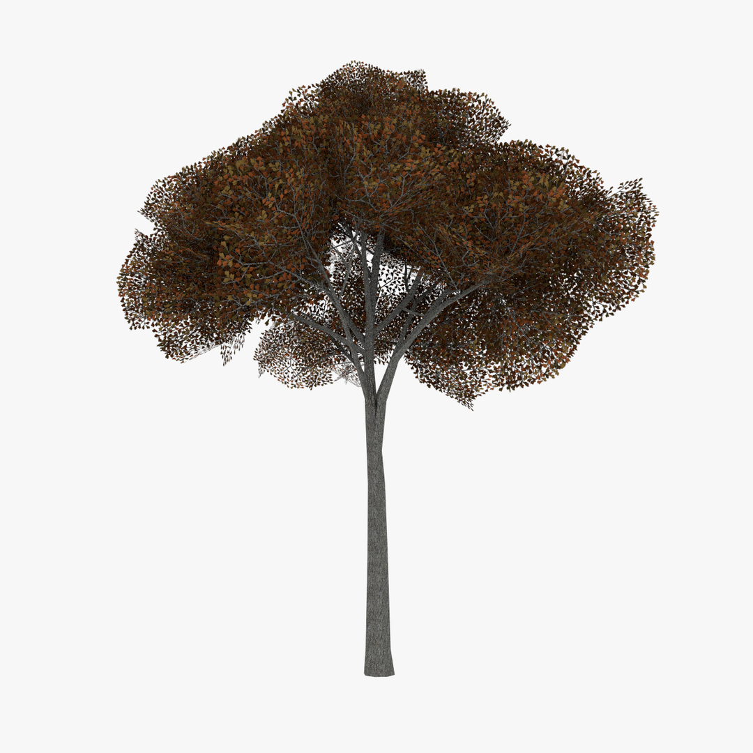 White Oak Tree 3d 3ds