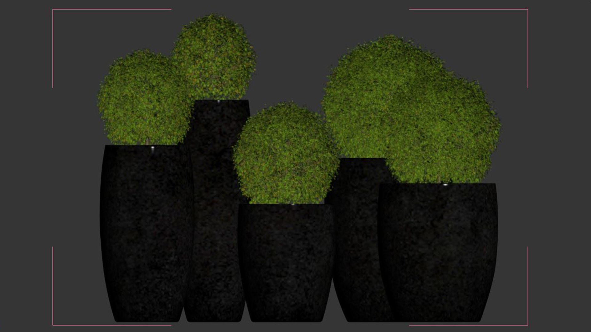 Aglaia Odorata Plant 01 3D Model - TurboSquid 2093418