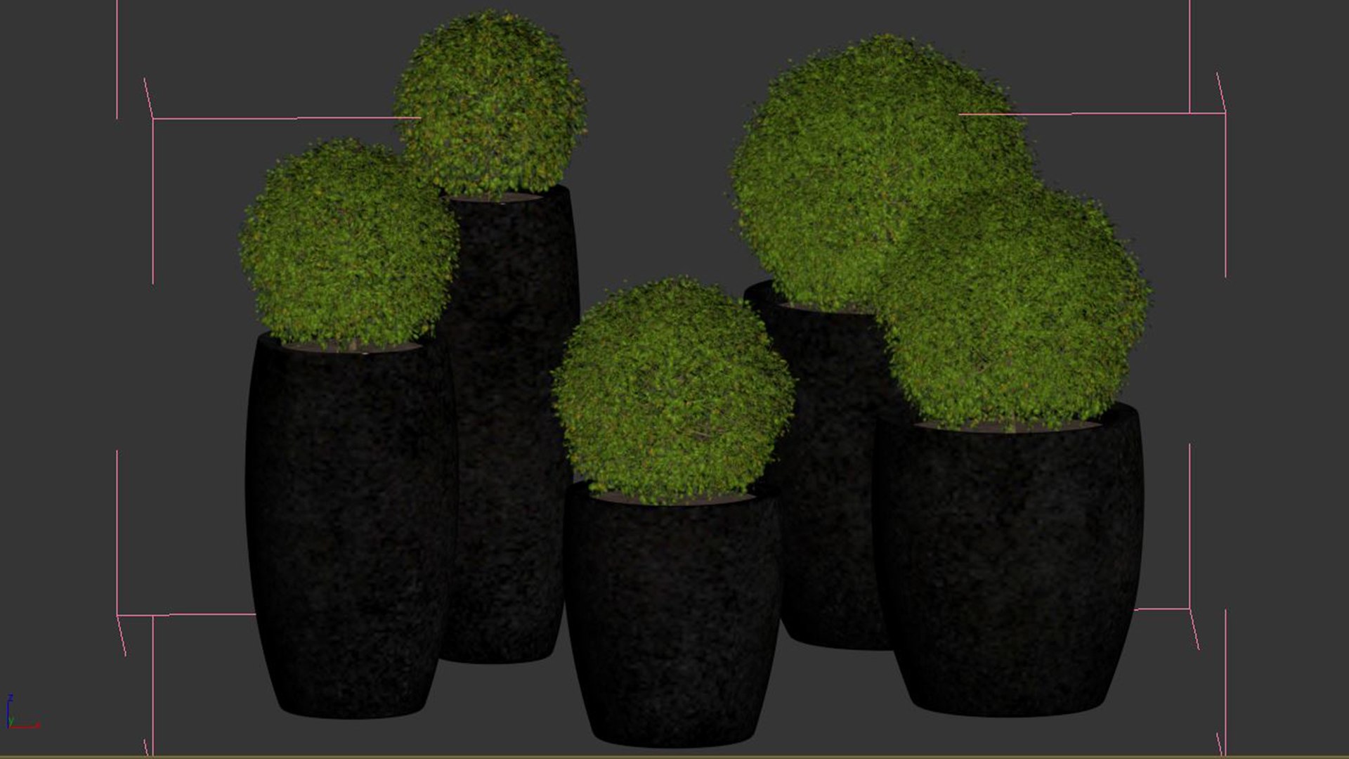 Aglaia Odorata Plant 01 3D Model - TurboSquid 2093418