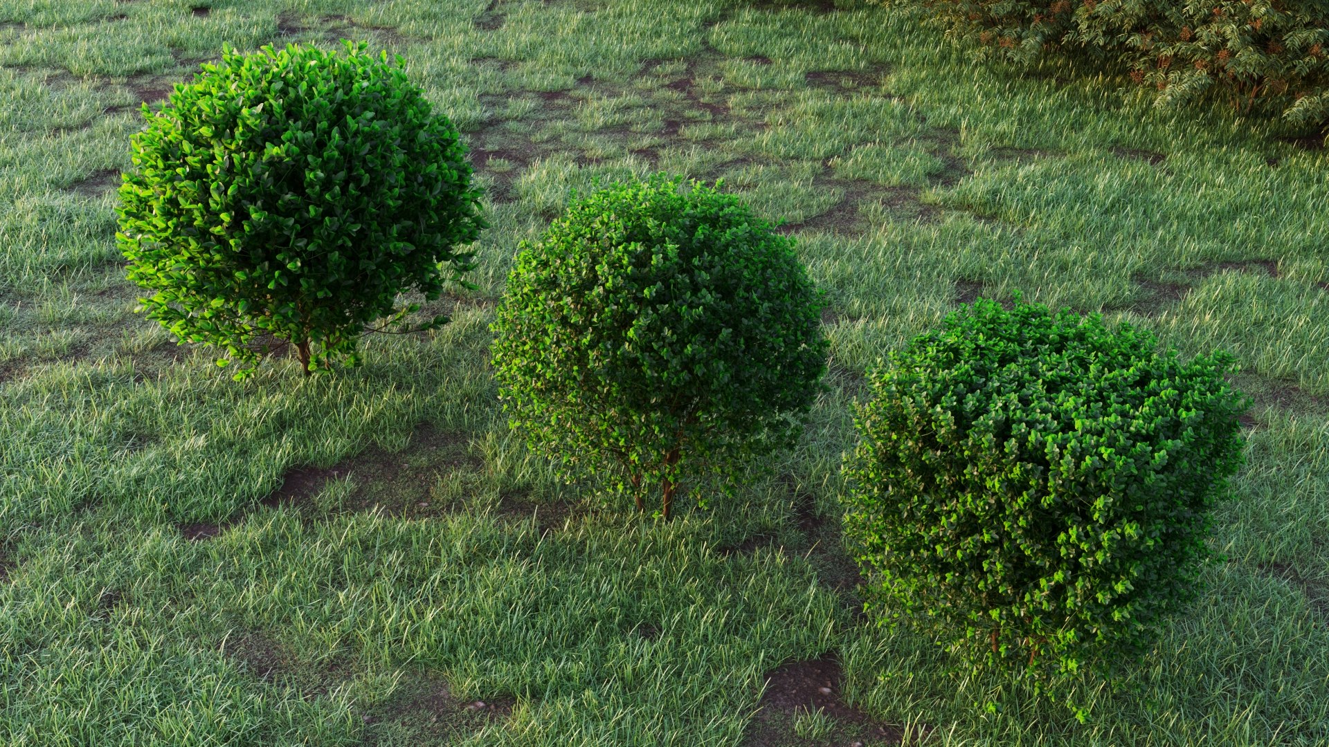 Quickset Hedge 3D Model - TurboSquid 1861933