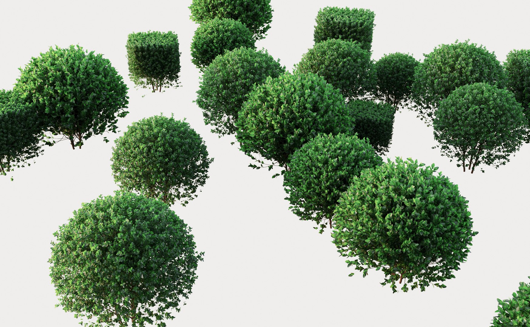 Quickset Hedge 3D Model - TurboSquid 1861933