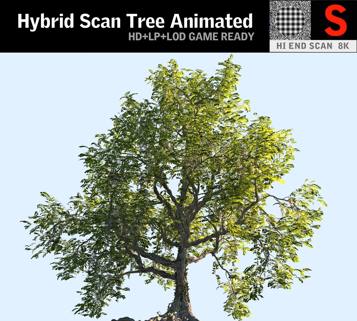 Tree Hd 3D Model - TurboSquid 1286922