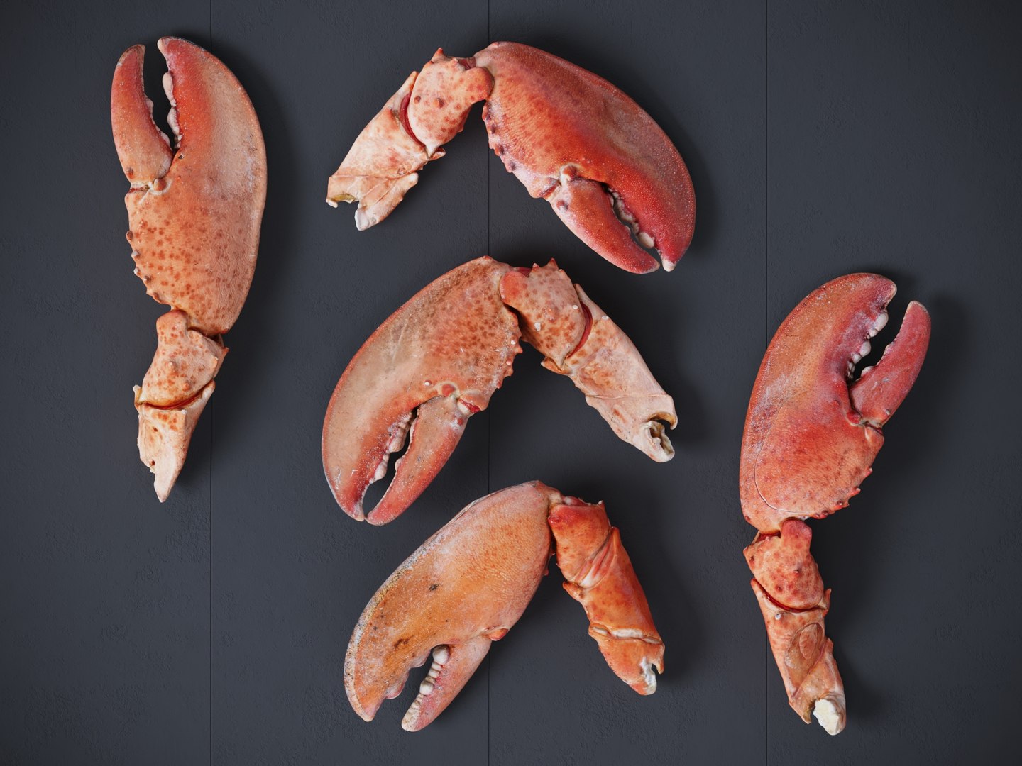 Lobster Claws Cooked 3D Model - TurboSquid 2092269