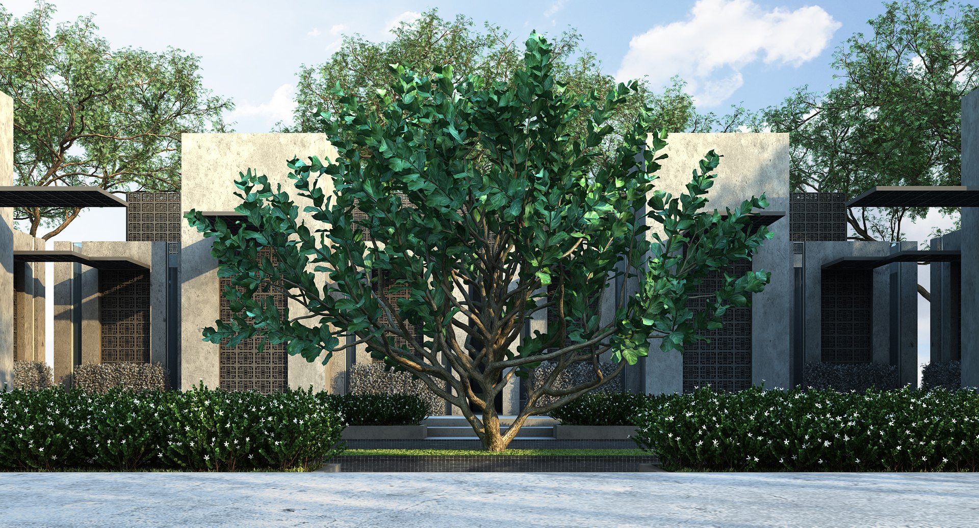 3D Model 2 Tree - TurboSquid 1179246