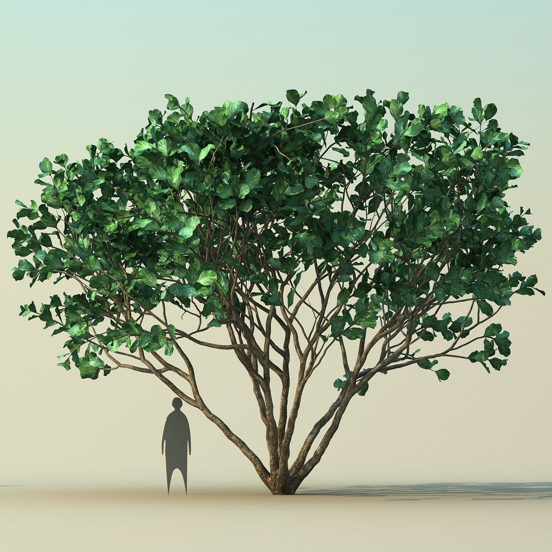 3D Model 2 Tree - TurboSquid 1179246