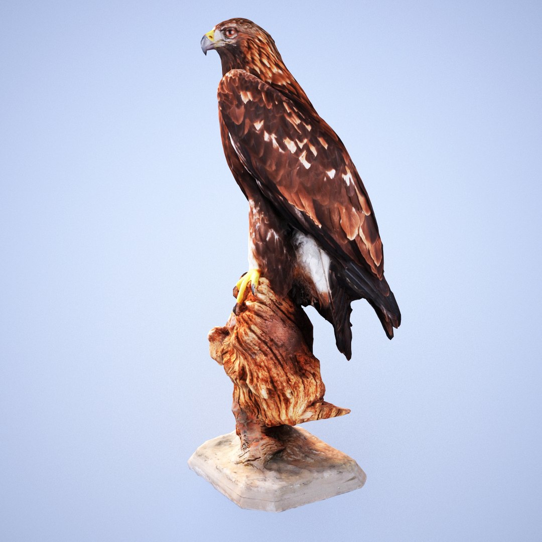 3d Model Of Golden Eagle