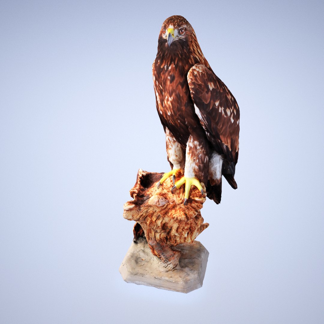3d Model Of Golden Eagle