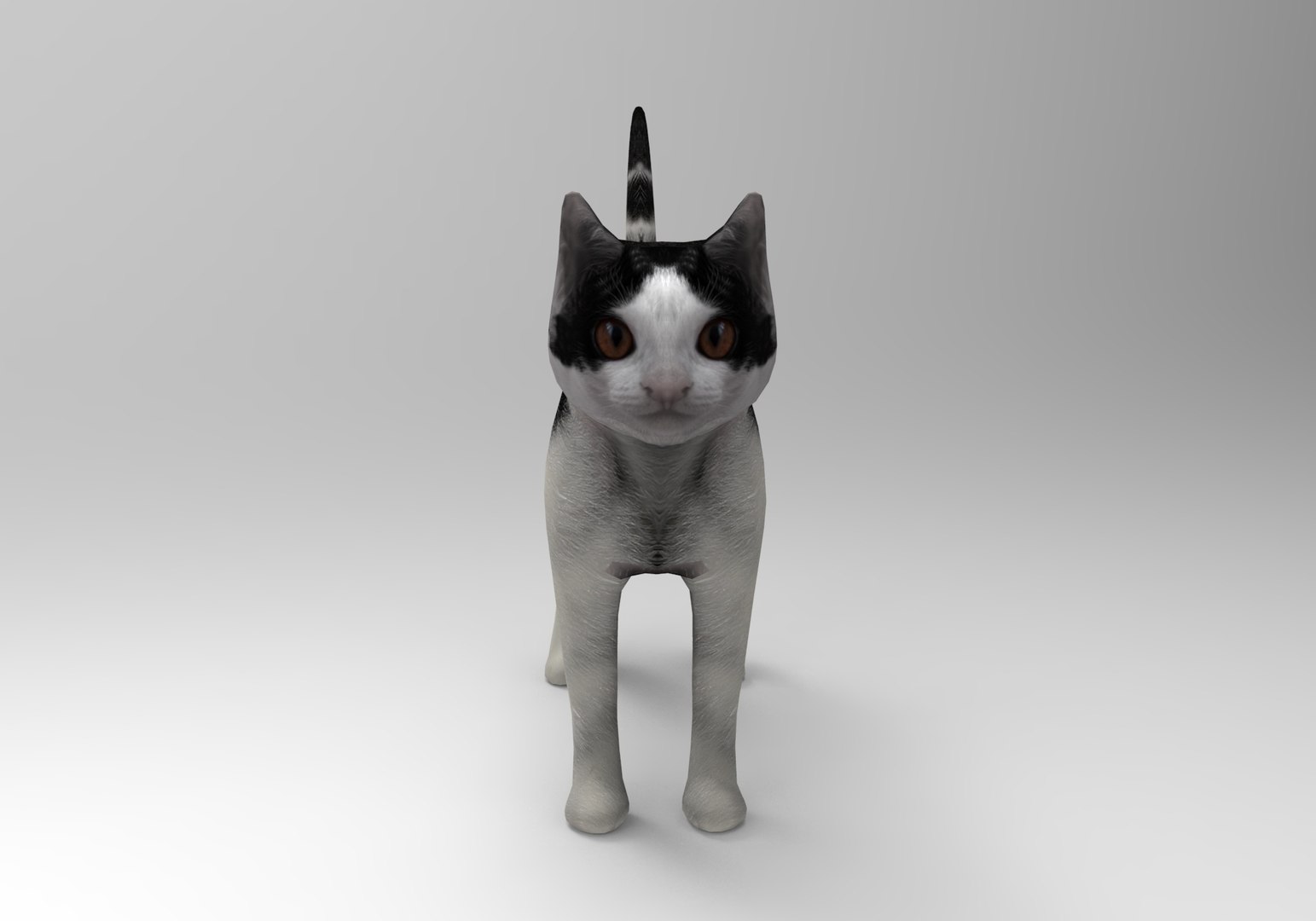 3d Cats Feline