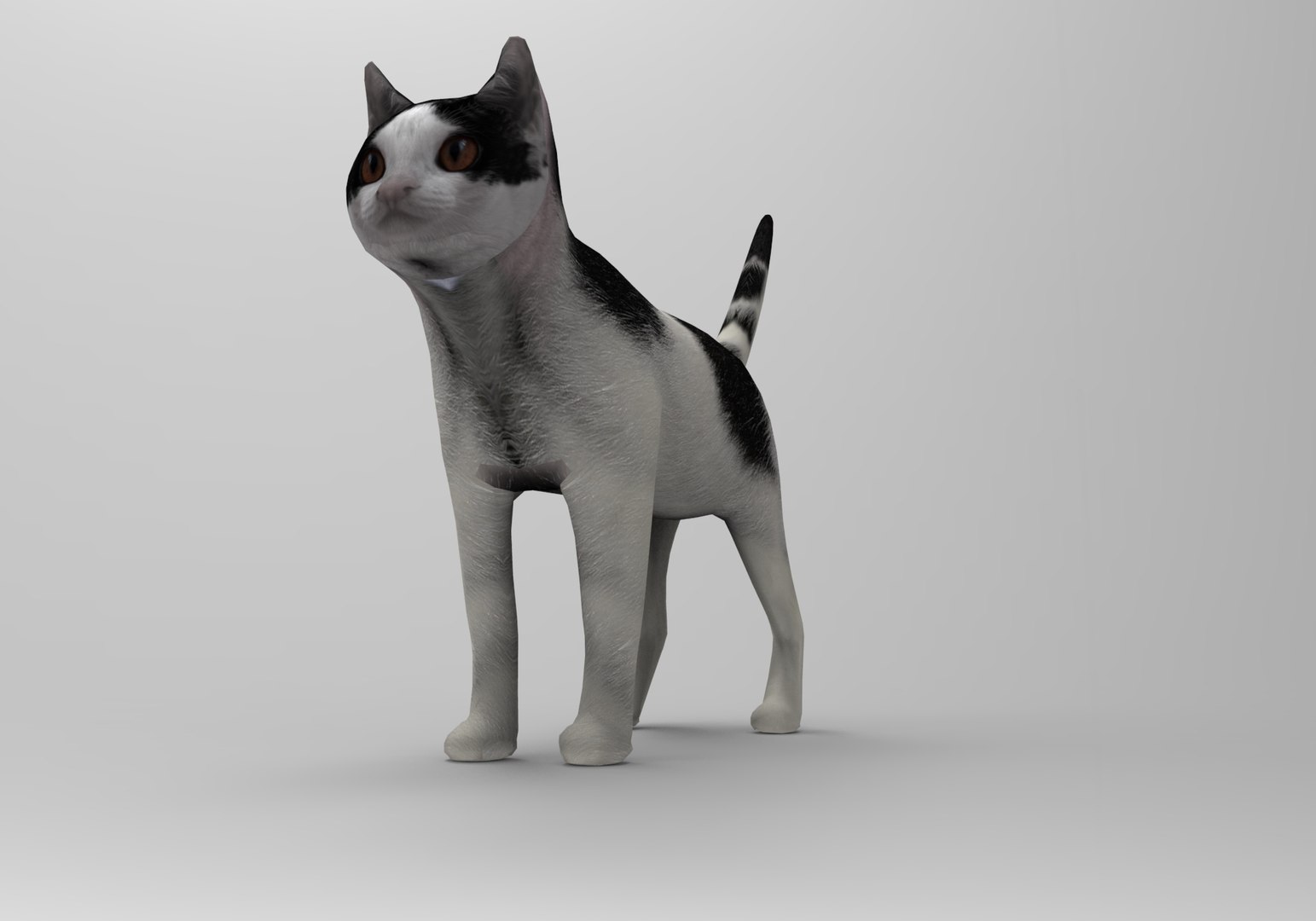 3d Cats Feline