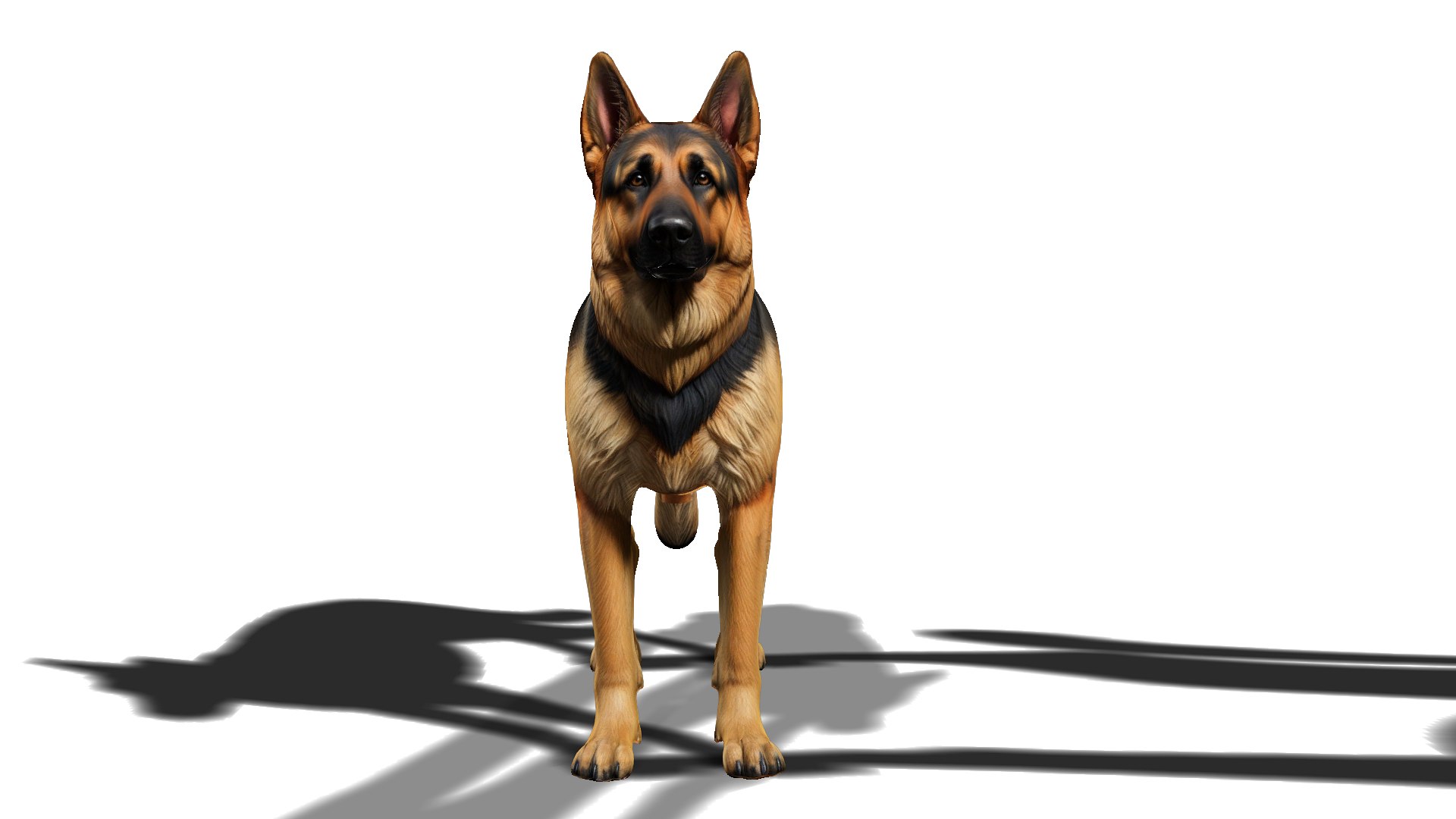 German Shepherd 3D Model - TurboSquid 2300989