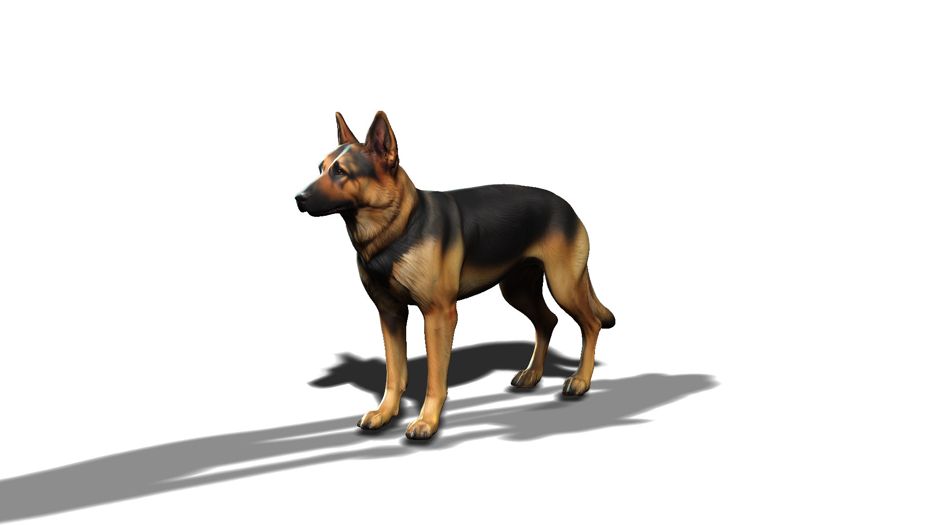 German Shepherd 3D Model - TurboSquid 2300989