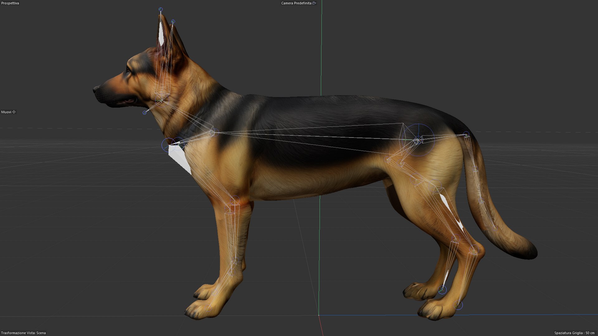 German Shepherd 3D Model - TurboSquid 2300989