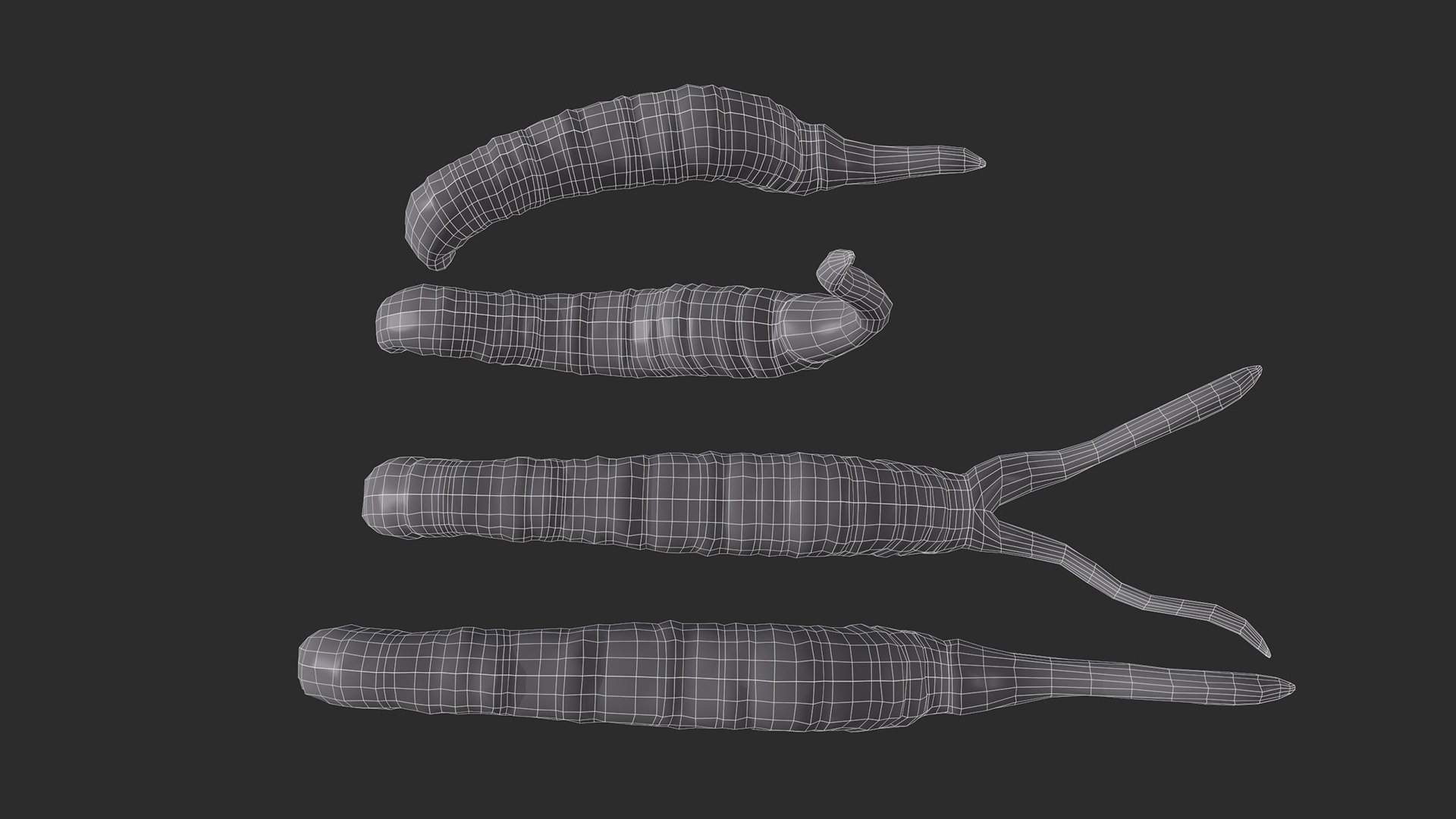 Insect 3D Model - TurboSquid 2180980