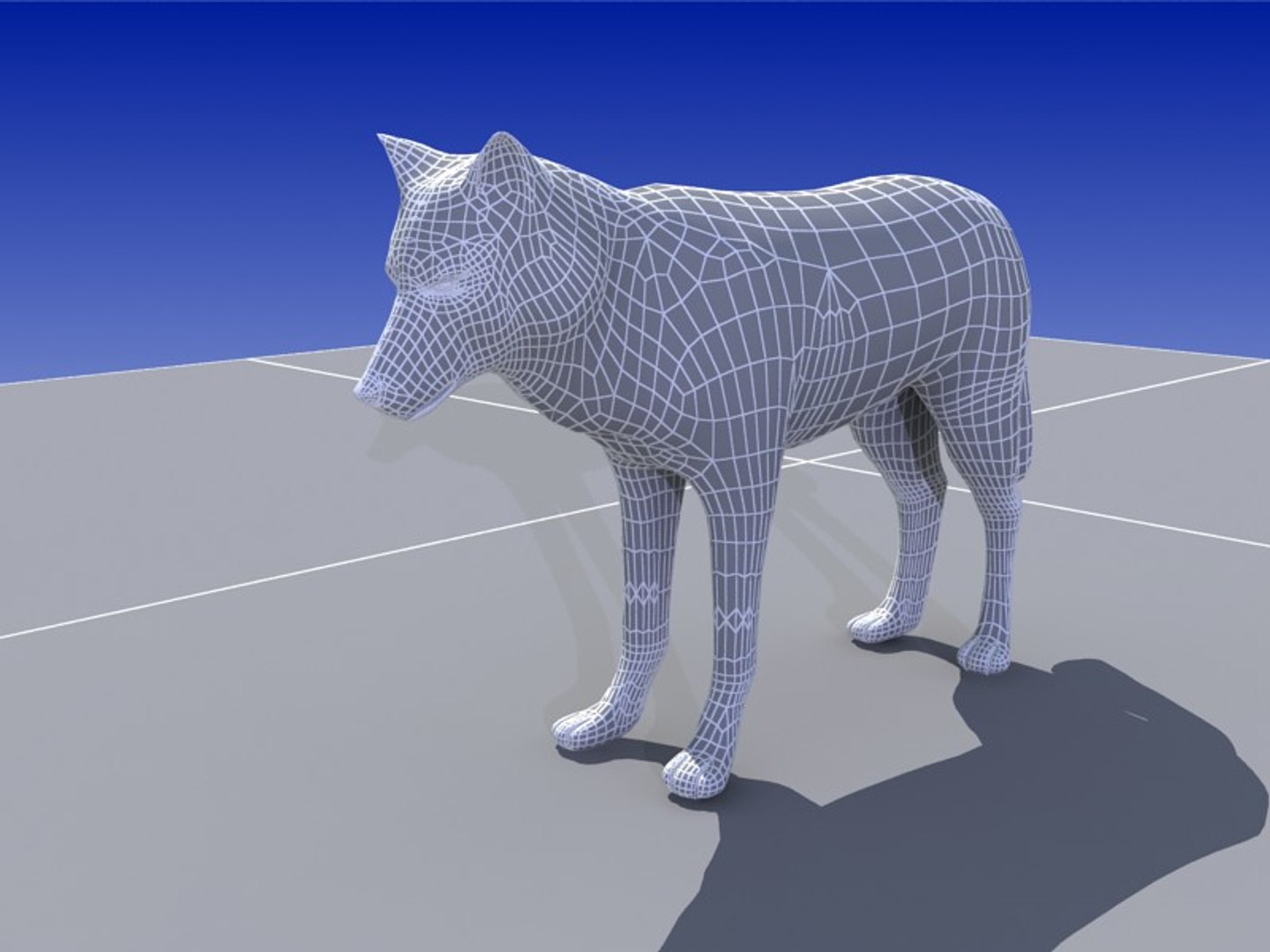 3d Model Gray Wolf