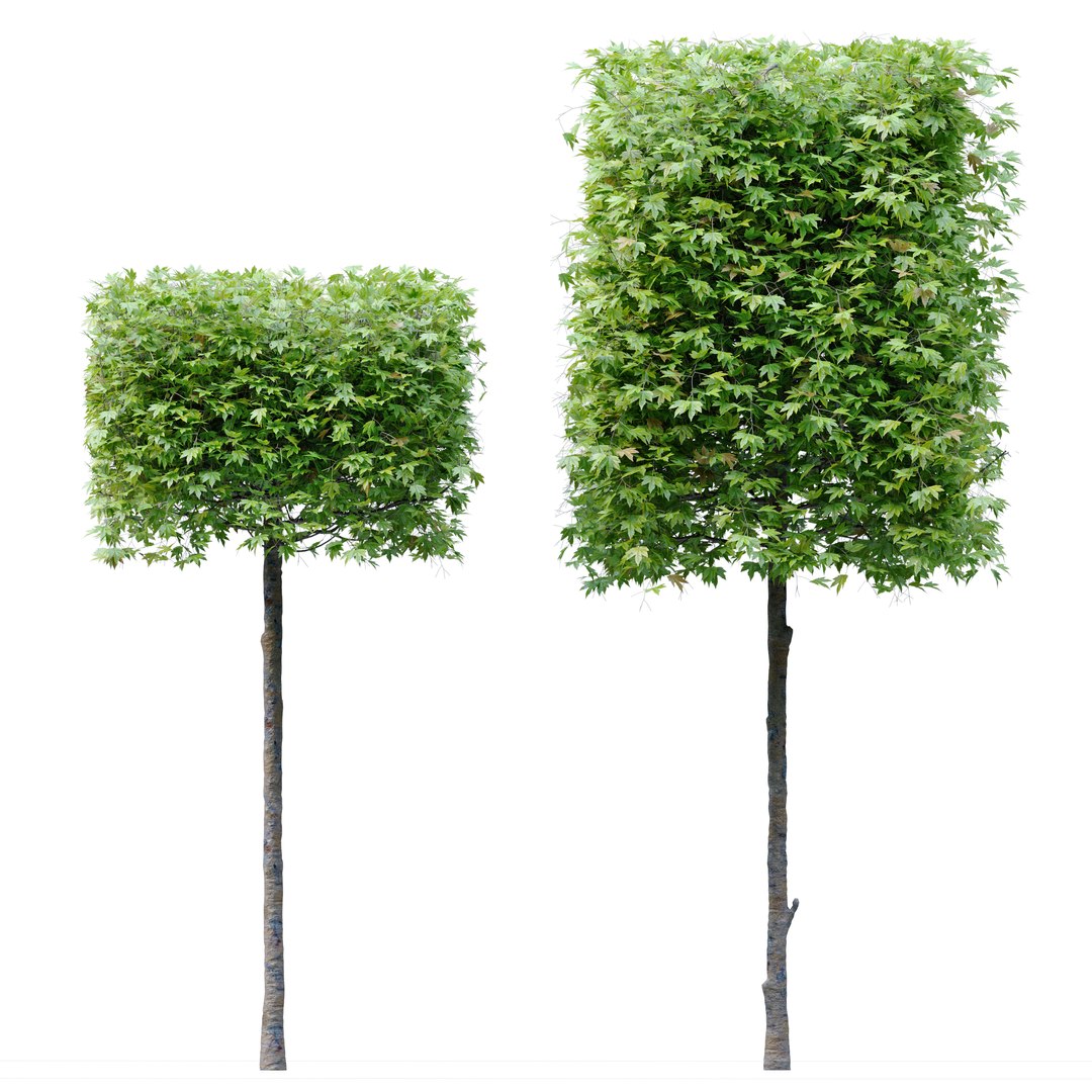 Boxhead Trees Set 3D - TurboSquid 1933058