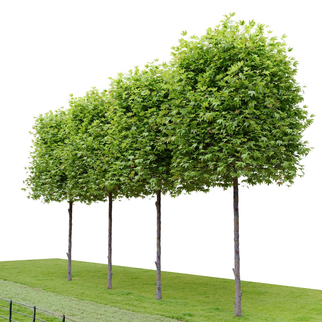 Boxhead Trees Set 3D - TurboSquid 1933058