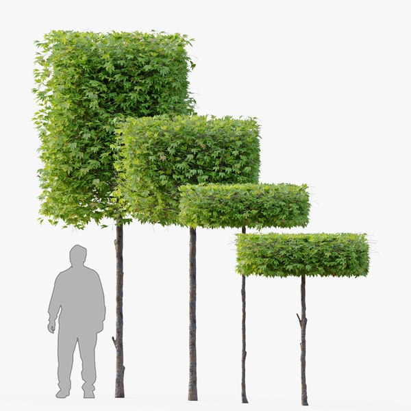 Boxhead trees set 3D - TurboSquid 1933058