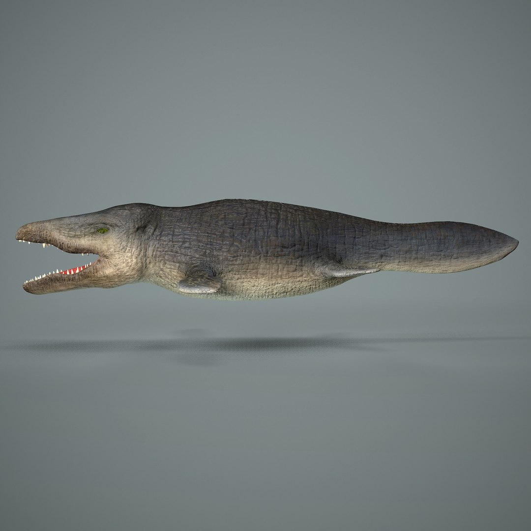 3D Mosasaurus Prehistorik Fossil - TurboSquid 1191696