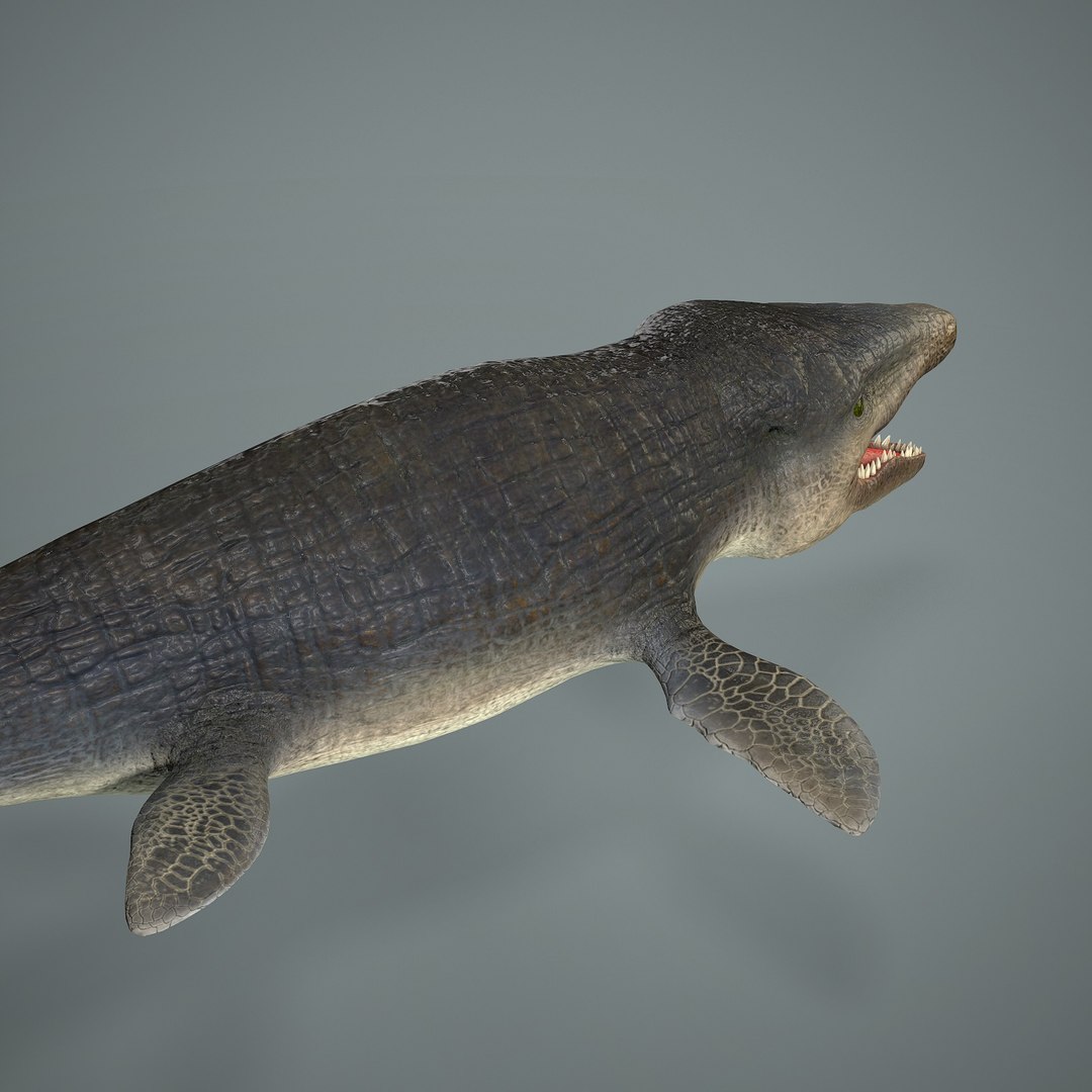 3D Mosasaurus Prehistorik Fossil - TurboSquid 1191696