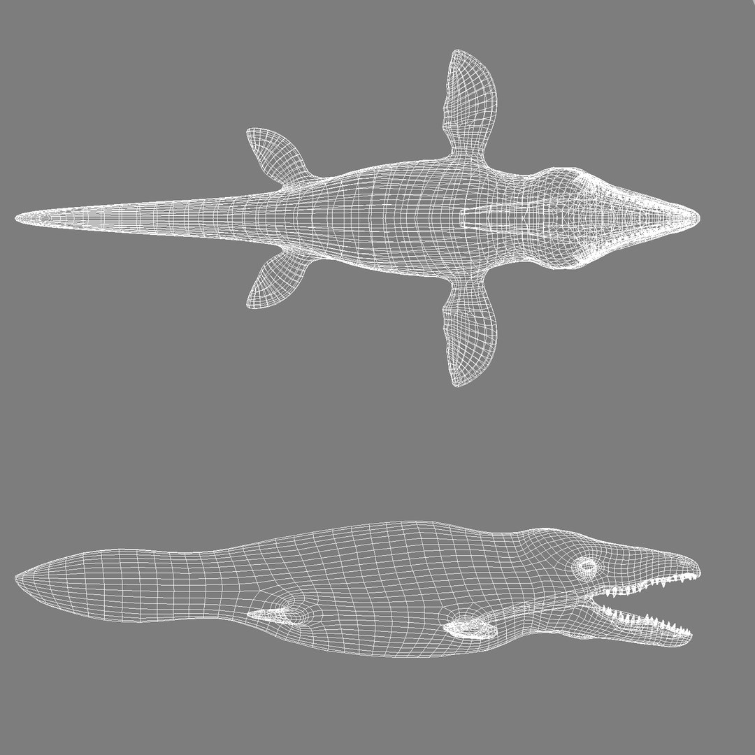 3D Mosasaurus Prehistorik Fossil - TurboSquid 1191696