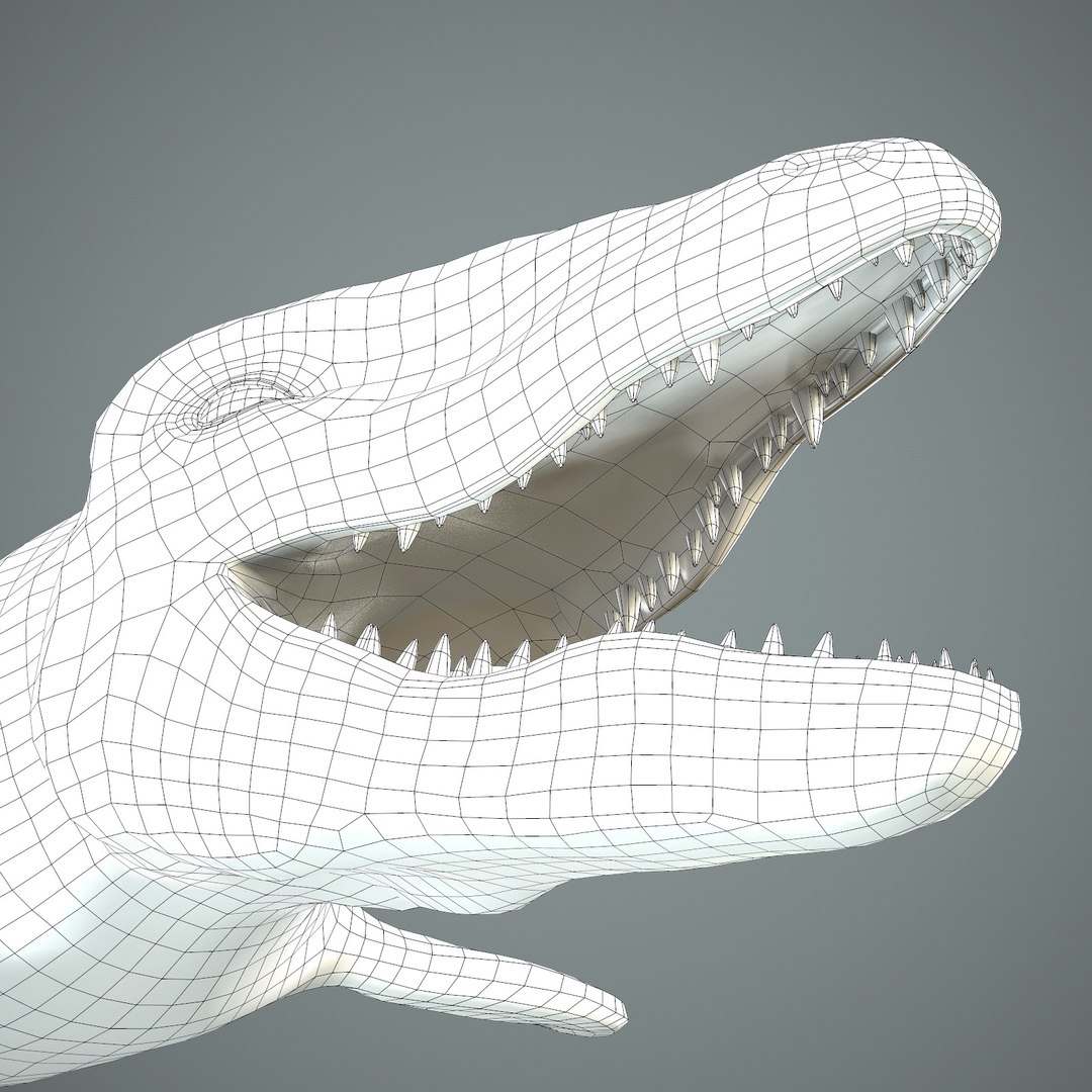 3D Mosasaurus Prehistorik Fossil - TurboSquid 1191696