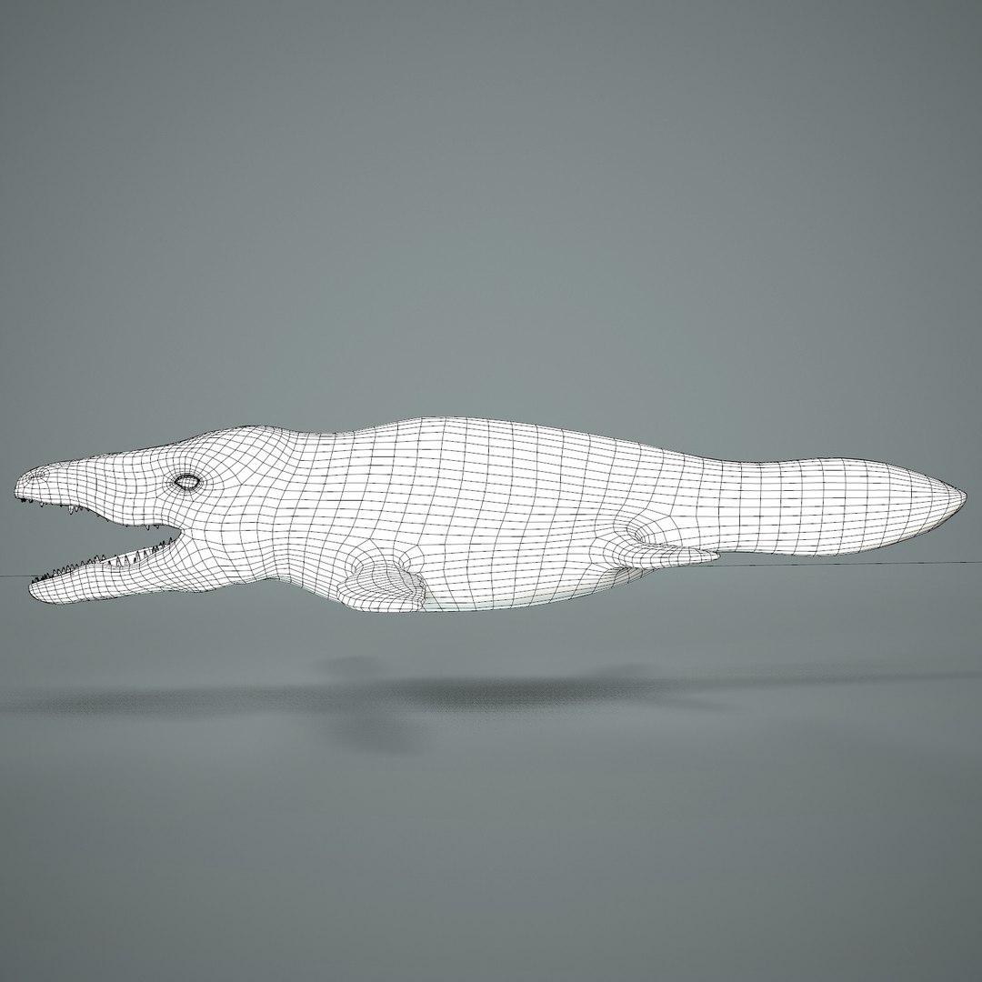 3D Mosasaurus Prehistorik Fossil - TurboSquid 1191696