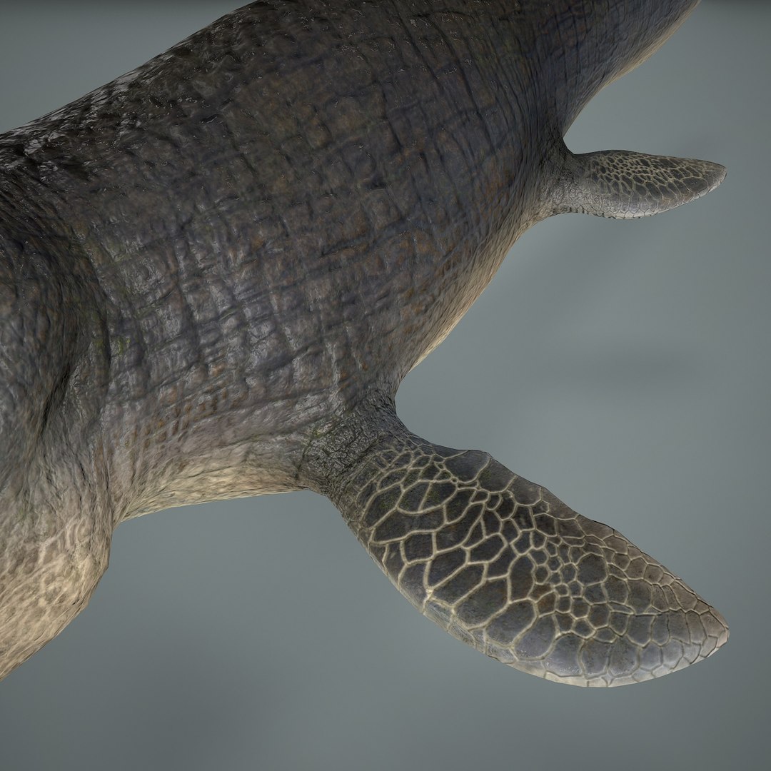 3D Mosasaurus Prehistorik Fossil - TurboSquid 1191696