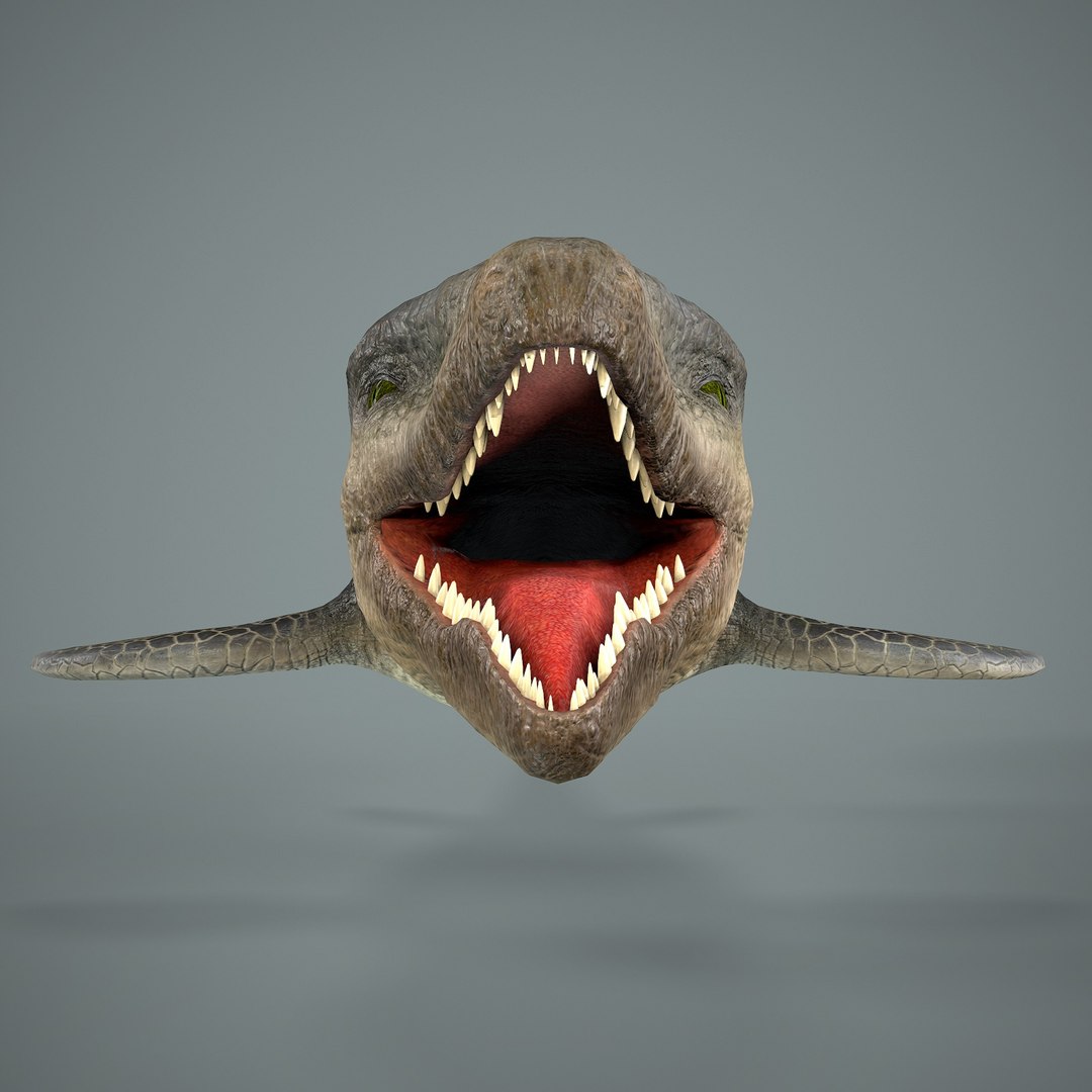 3D Mosasaurus Prehistorik Fossil - TurboSquid 1191696