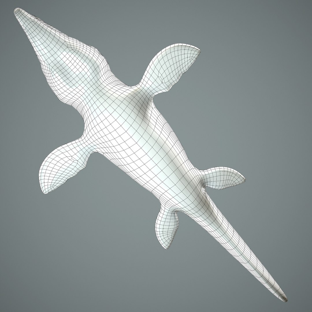 3D Mosasaurus Prehistorik Fossil - TurboSquid 1191696