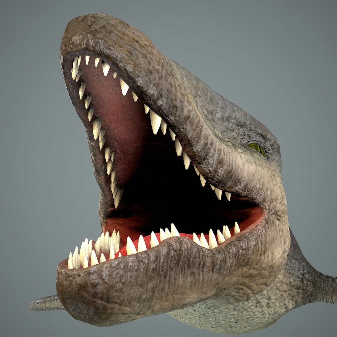 3D Mosasaurus Prehistorik Fossil - TurboSquid 1191696