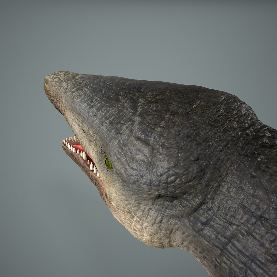 3D Mosasaurus Prehistorik Fossil - TurboSquid 1191696