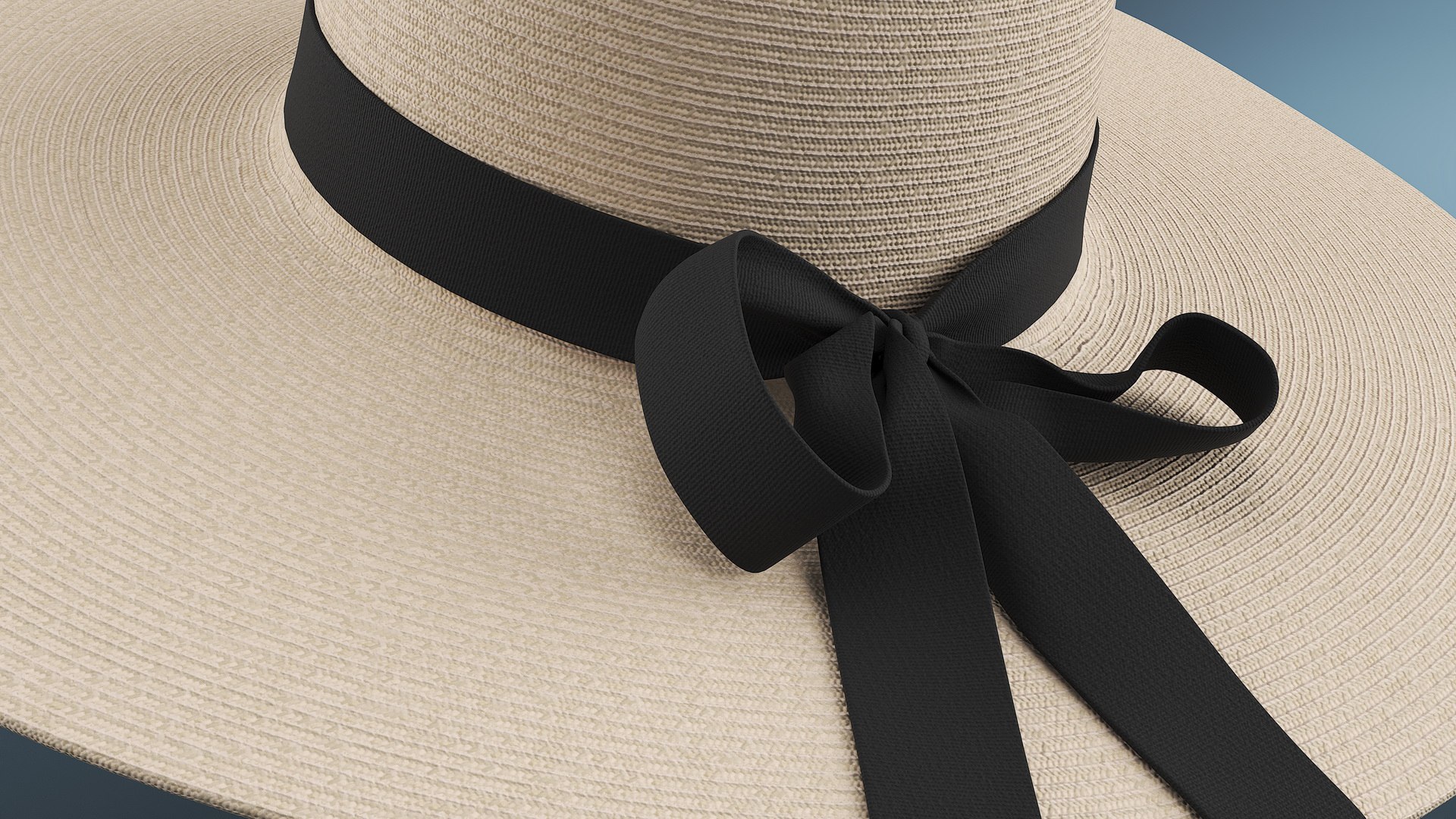 Fashionable Wide Brim Hat With Bow Model - TurboSquid 2398131