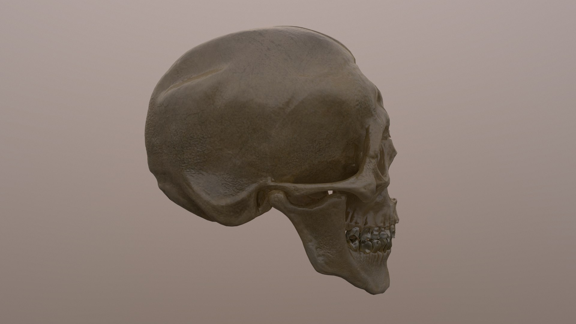 Damaged Skull Model - TurboSquid 1720615